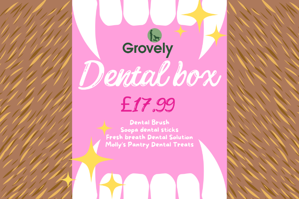 Dental Treat Box – Grovely Pets
